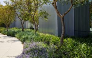 ojb landscape architecture - cyrui